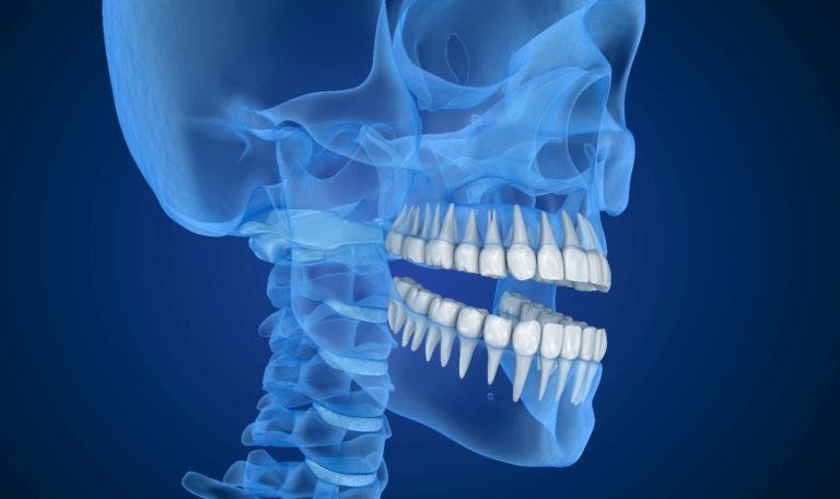 teeth-and-skull-illustration - Santavicca Dental Professionals Blog